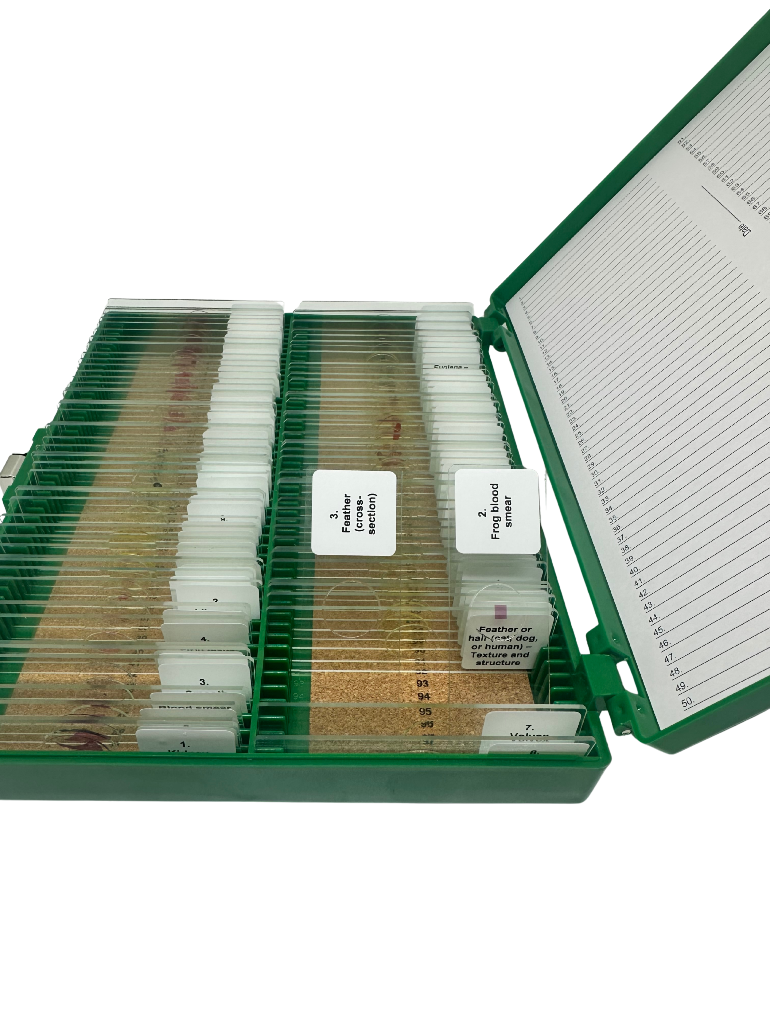 K–12 Prepared Microscope Slide Kits – EduScope Slides
